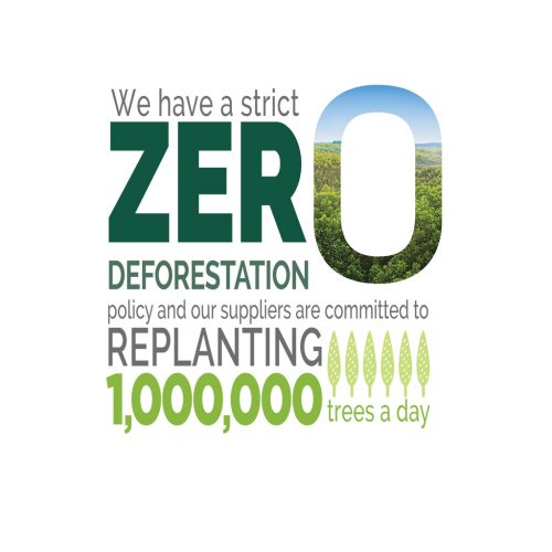 Solaris Paper | Sustainability